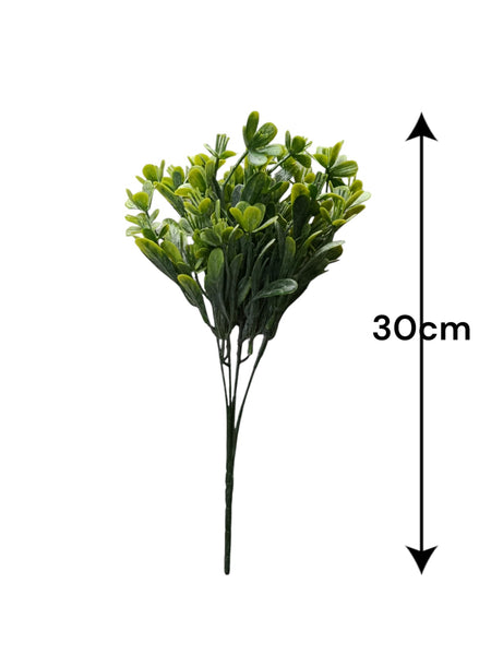Follaje General Clematis Marmoraria 30cm – Mapalu Store