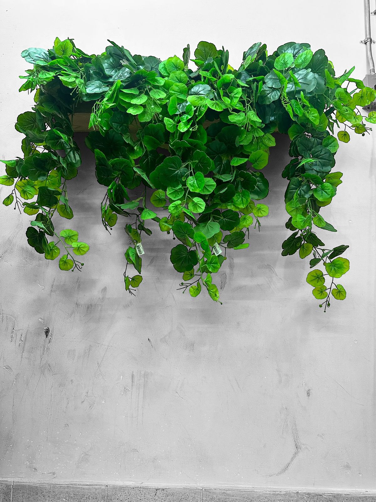 Enredadera Colgante Artificial Centella 1 metro de caida – Mapalu Store